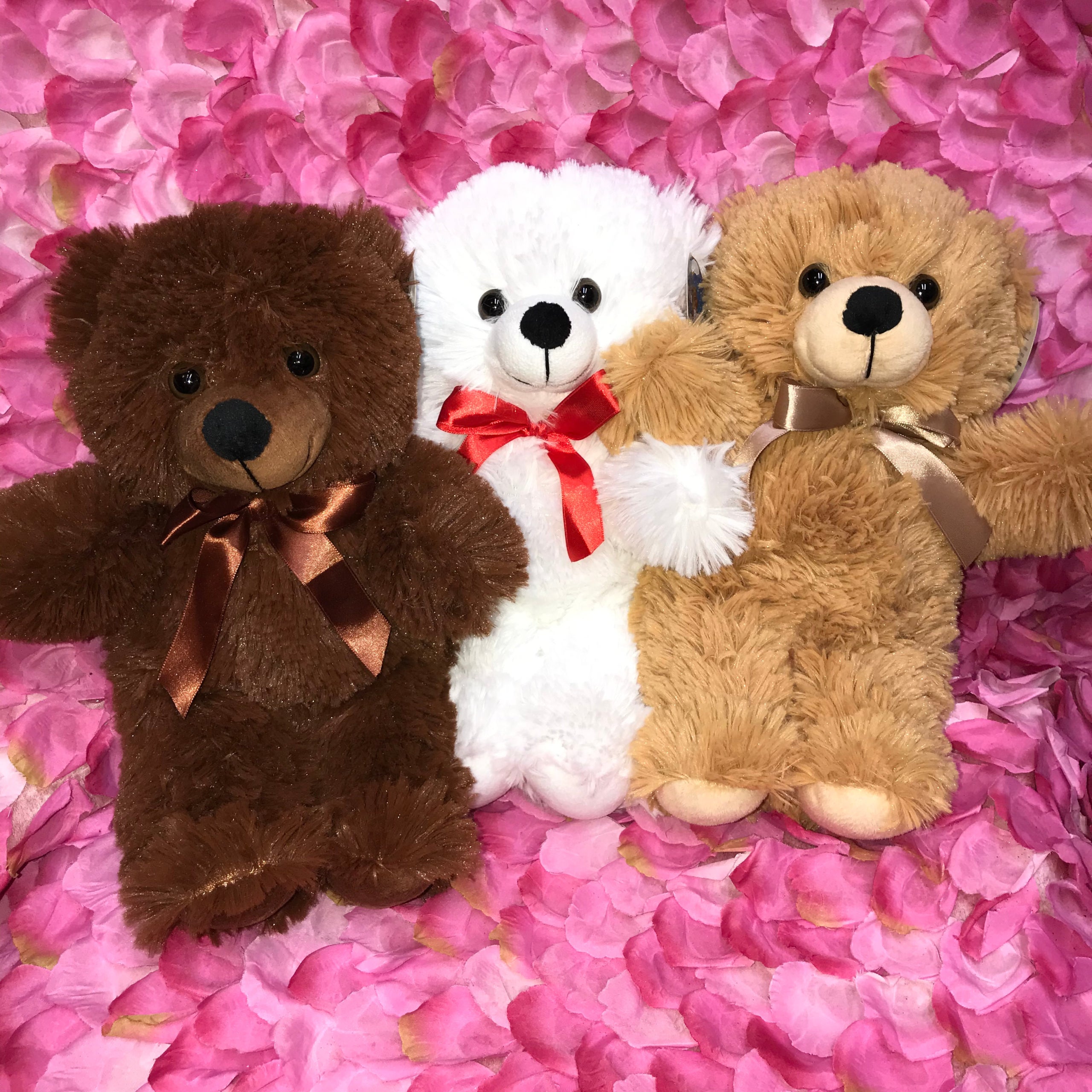 Pick Your Color Combination - 11" Cheer Bear | Dragon Bling